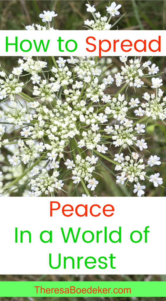 How to Spread Peace In a World of Unrest - Theresa Boedeker