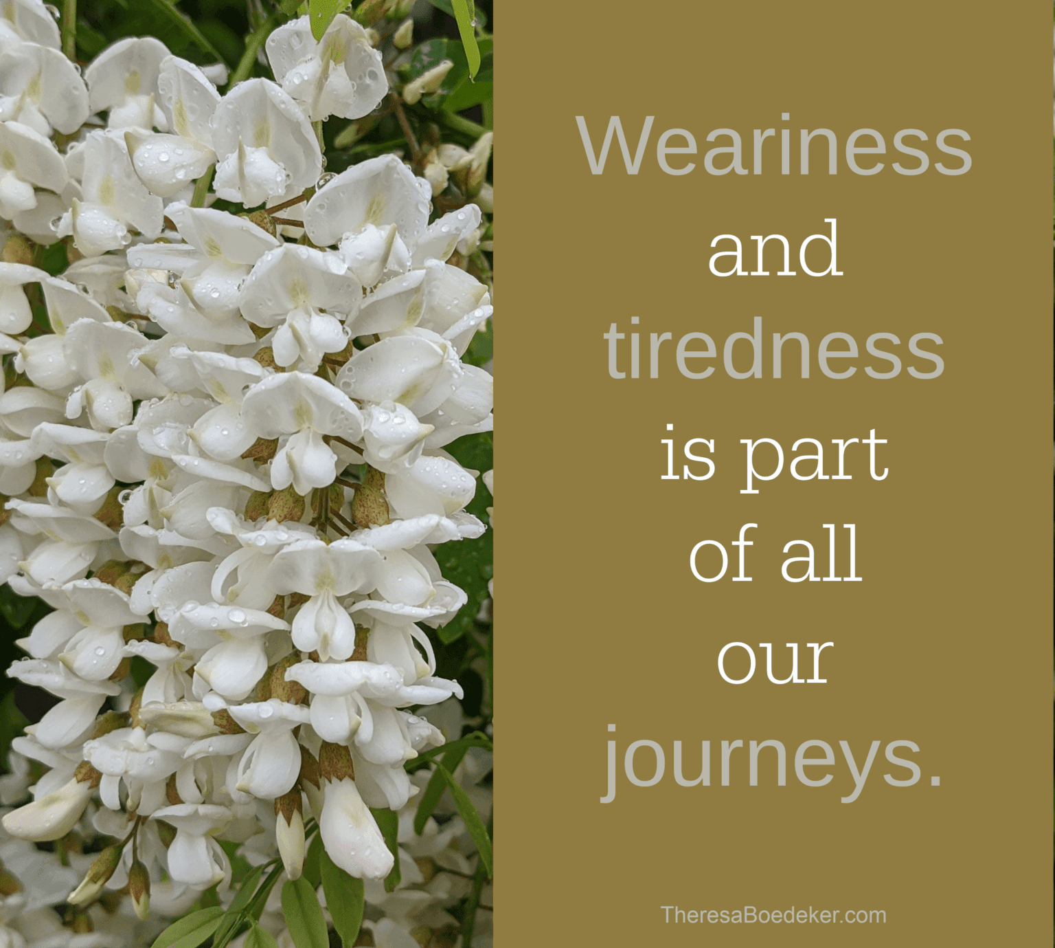 Are You Weary and Tired? 10 Things to Remember - Theresa Boedeker