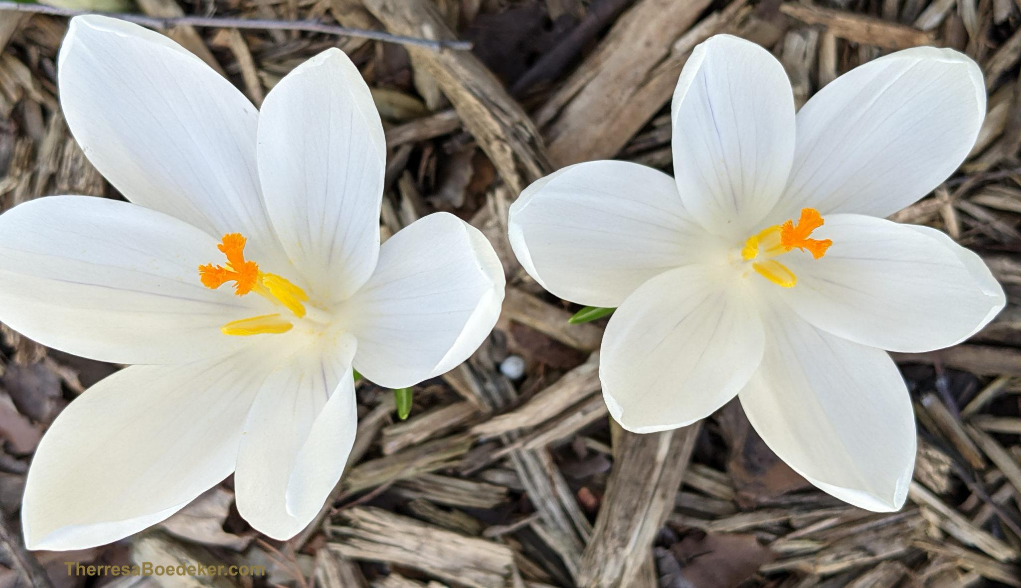 When Life Is Not Fair: 6 Things You Can Do About It - Theresa Boedeker