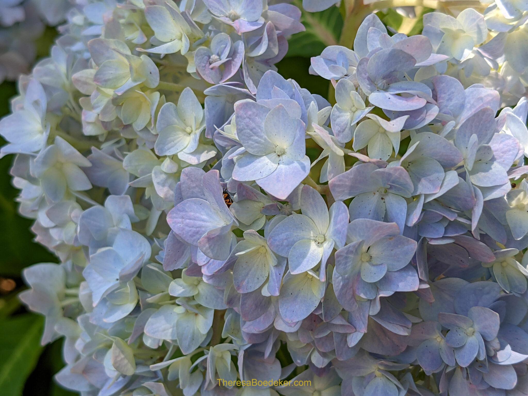 Don't Bite the Bait: How to Respond to Criticism - Theresa Boedeker