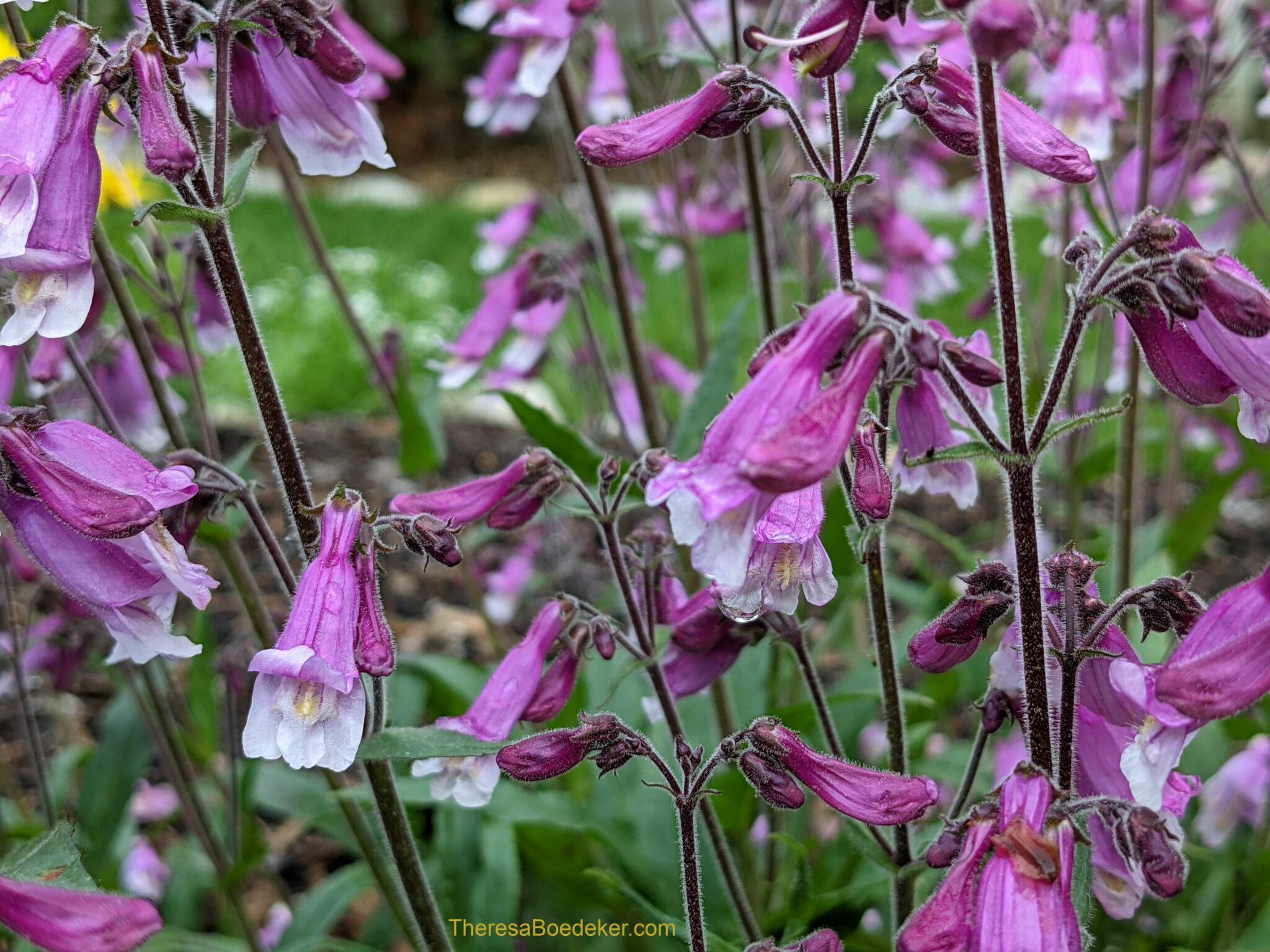 Don't Bite the Bait: How to Respond to Criticism - Theresa Boedeker