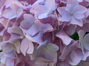 Don't Bite the Bait: How to Respond to Criticism - Theresa Boedeker